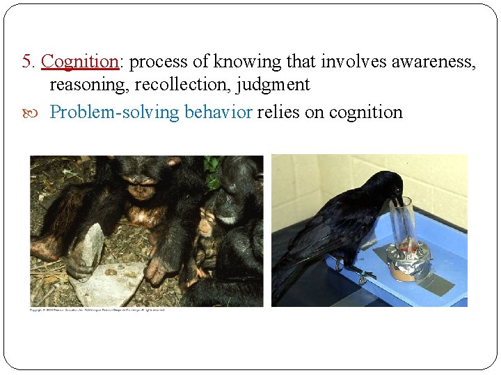 Ch 50 Review Names the biomes labeled af