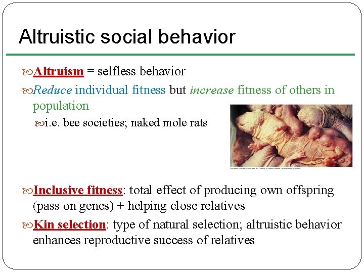 Ch 50 Review Names the biomes labeled af