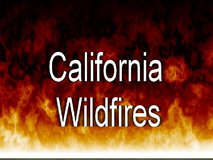 Wildfires Heidi Ertman Jessica Morgan Audra Parmer Jennifer