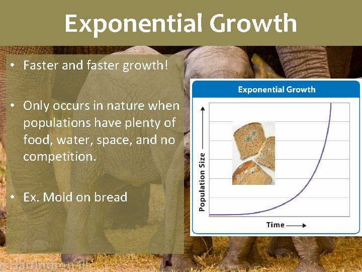 Population Growth Ch 4 sec 3 Factors That