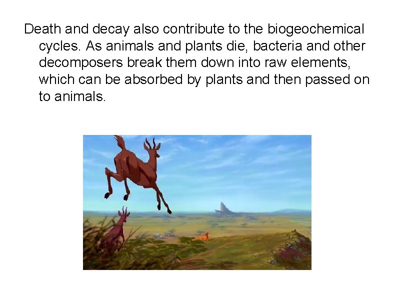 Biogeochemical Cycles Recall that matter is neither created