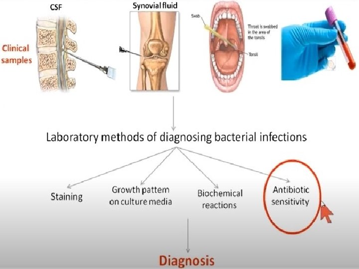Practical Microbiology Antimicrobial susceptibility Test 2019 2020 Dr