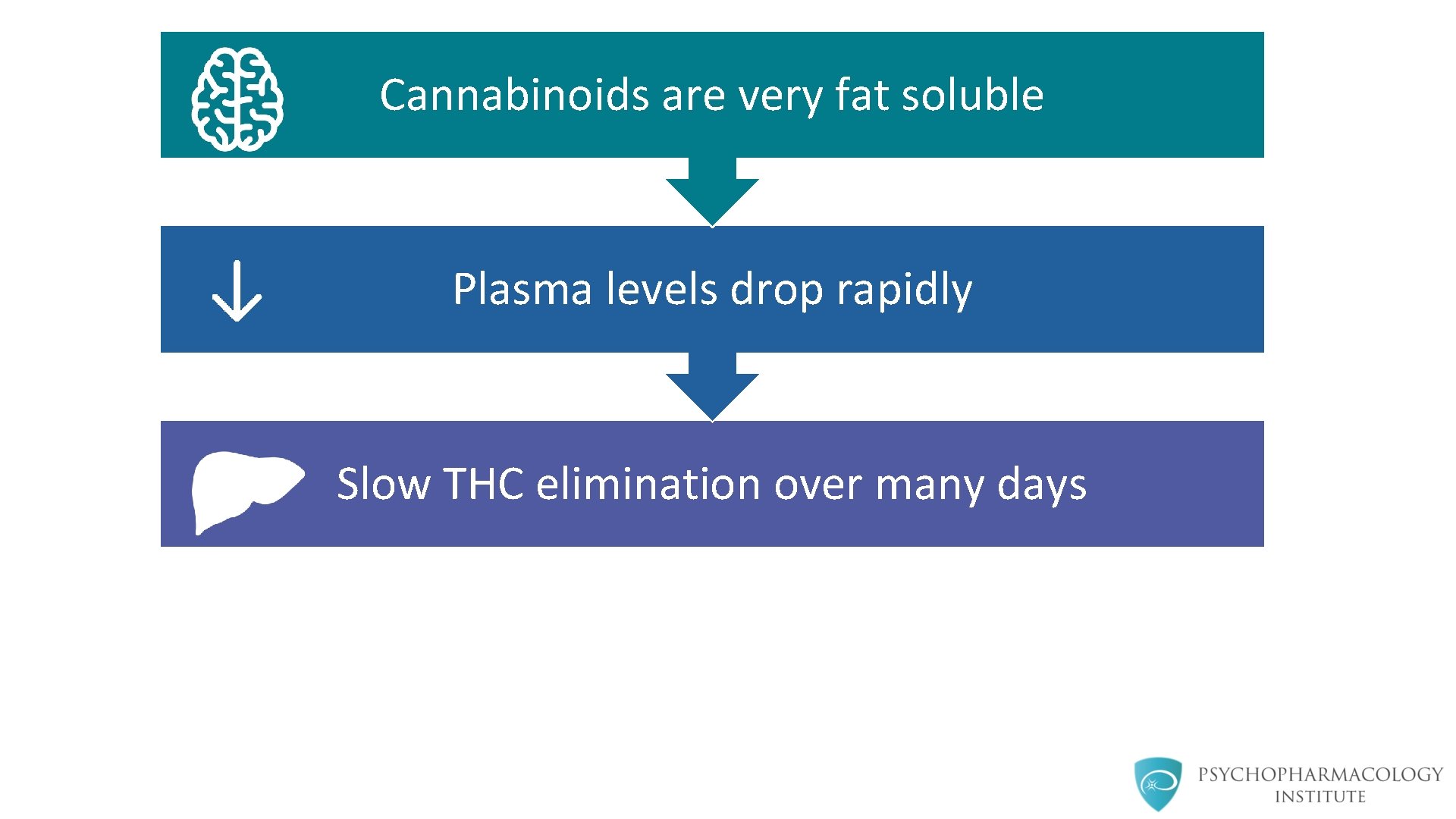 Cannabis Effects on Cognition and Driving Dr Paul
