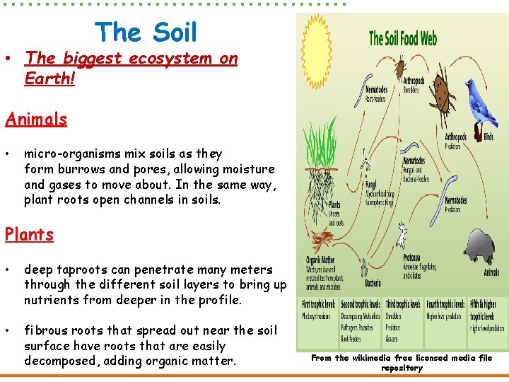 Talk 11 Sustainability NOT in book Sustainable Agriculture