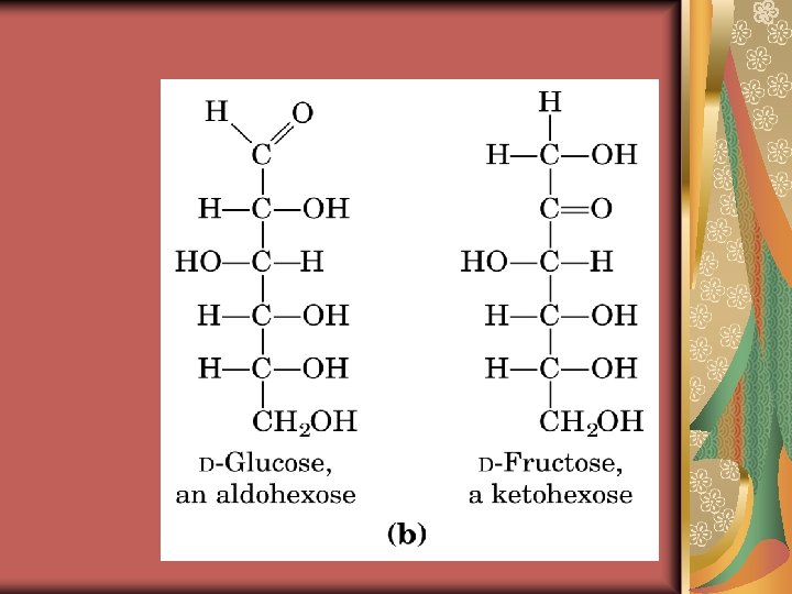 Carboidrati nutrienti che forniscono la met di energia