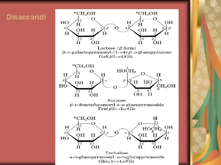 Carboidrati nutrienti che forniscono la met di energia