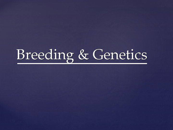 Breeding Genetics How have animal breeds evolved Selective