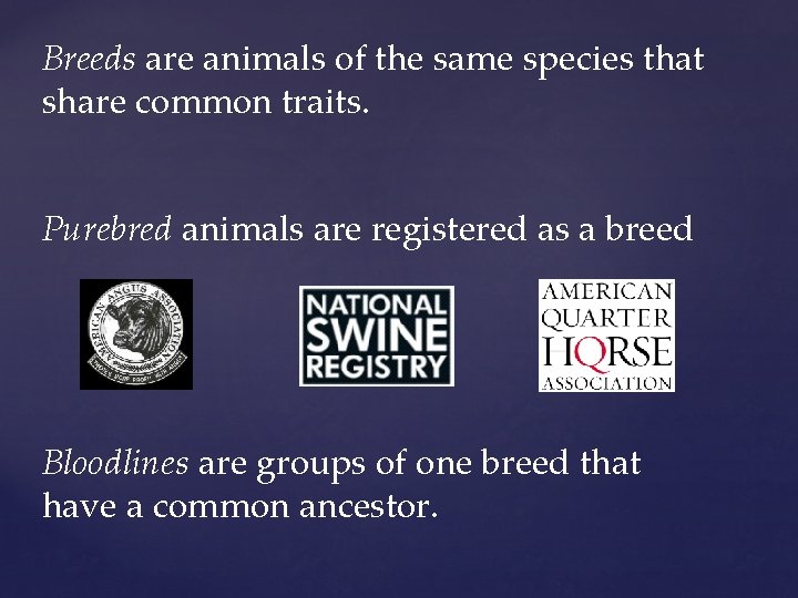 Breeding Genetics How have animal breeds evolved Selective
