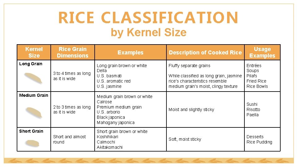 ALL ABOUT RICE Science Types Nutrition RICE CLASSIFICATION