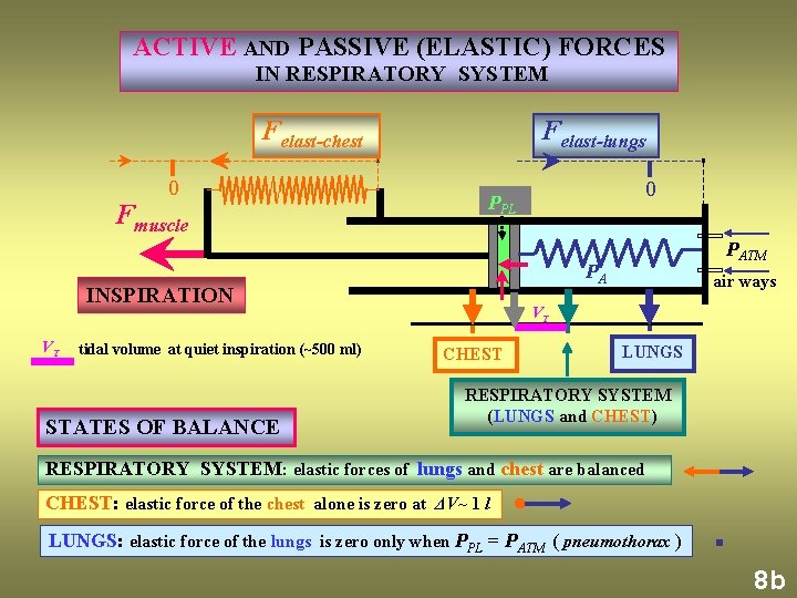 PULMONARY MECHANICS GAS TRANSPORT I PULMONARY MECHANICS RESPIRATORY