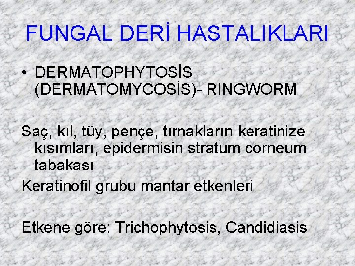FUNGAL DER HASTALIKLARI DERMATOPHYTOSS DERMATOMYCOSS RINGWORM Sa kl