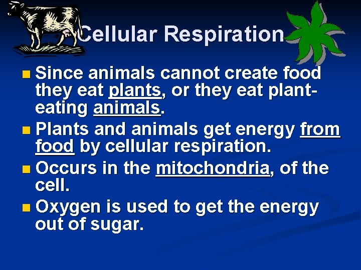 Cellular Respiration oxygen glucose carbon dioxide water energy