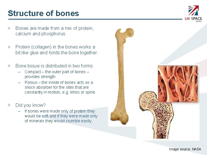 Healthy Bones The Great British Space Dinner Secondary