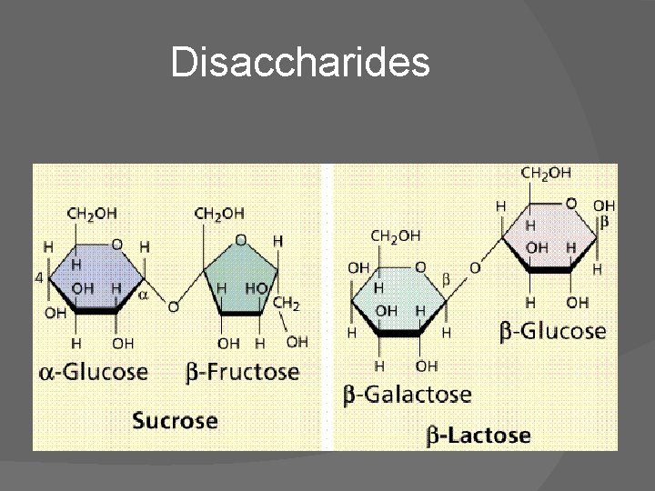 Chemistry of Life Macromolecules Carbohydrates Lipids Proteins Nucleic