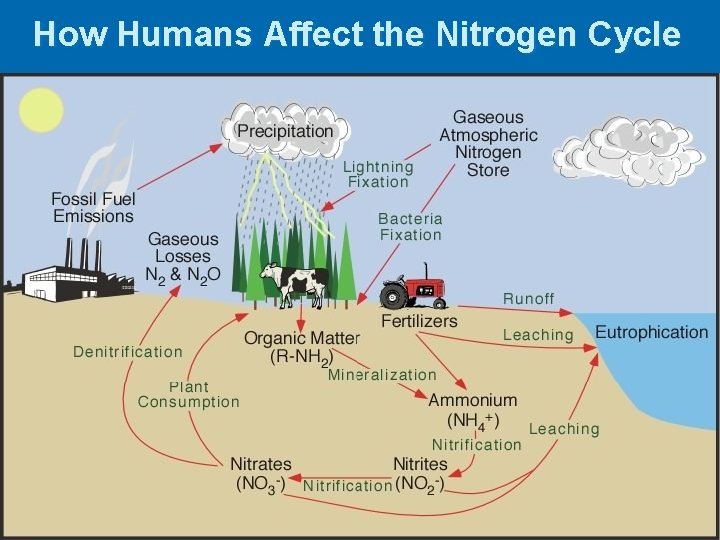 Cycling of Matter the Climate System Biogeochemical Cycle