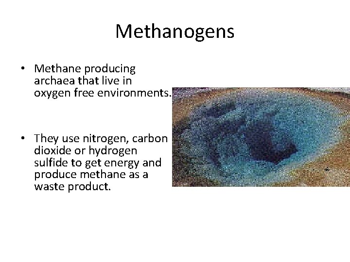 Archaea Prokaryotic Team Extreme Introduction Archaea are prokaryotic