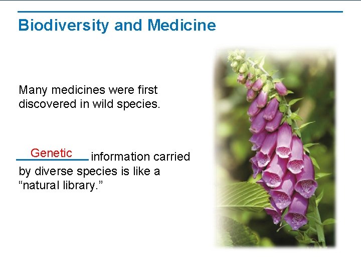 Biodiversity Learning Objectives Define biodiversity and explain its
