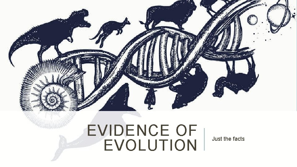 EVIDENCE OF EVOLUTION Just the facts REVIEW Yay