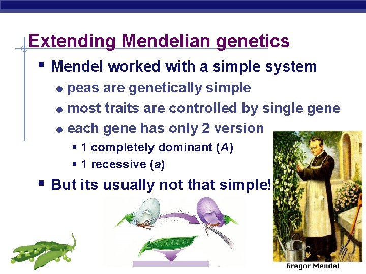 Genetics The Work of Mendel Regents Biology 2007