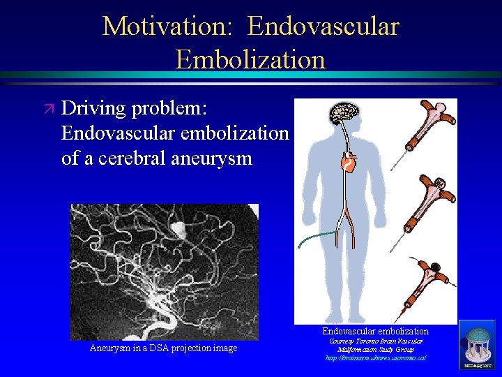 Extracting Branching Object Geometry via Cores Doctoral Dissertation