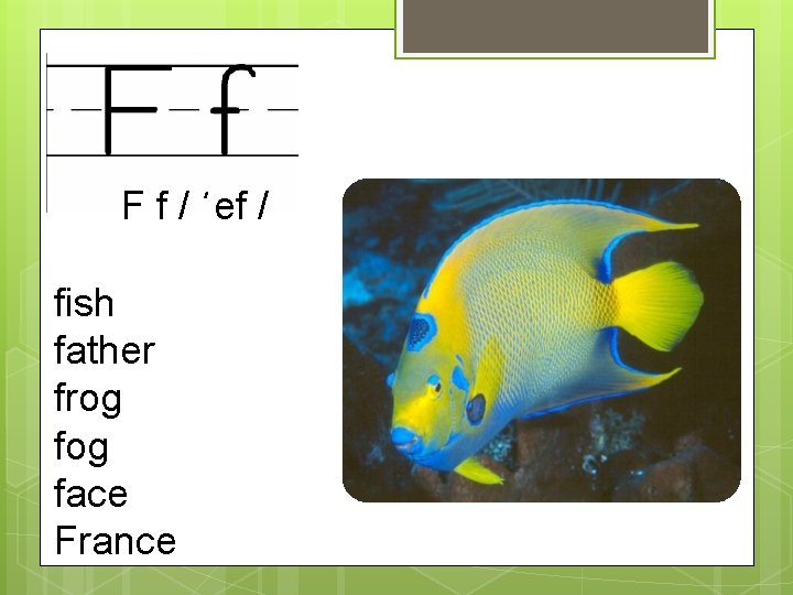 The English Alphabet English languages has 26 letters