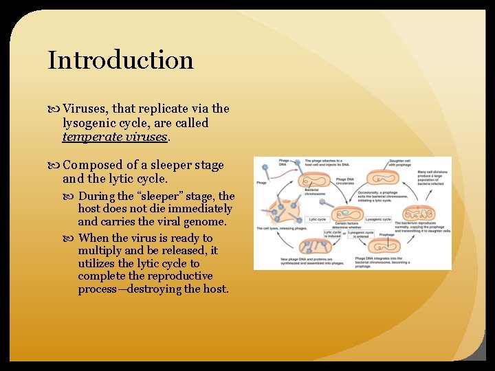 Viruses Packet 47 Chapter 18 Introduction A virus