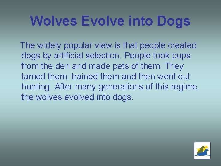 Understanding Your Dog Workshop Canine Rehabilitation Understanding Your