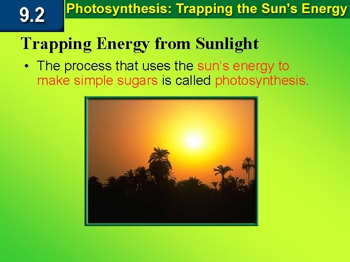 Energy and Photosynthesis Cell Energy All living organisms
