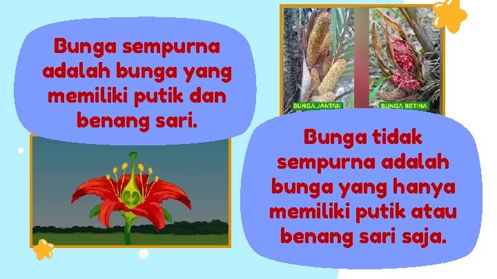 BAGIANBAGIAN TUMBUHAN ILMU PENGETAHUAN ALAM KELAS IV TEMA