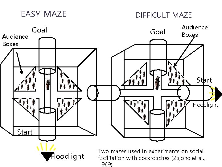 THE DYNAMOGENIC FACTORS IN PACEMAKING AND COMPETITION By