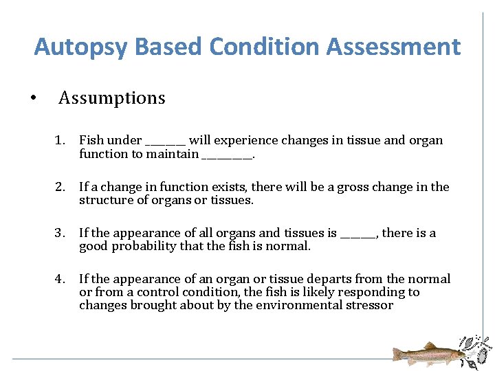 Fish Health Management Lab 3 Goede Index Organisomatic