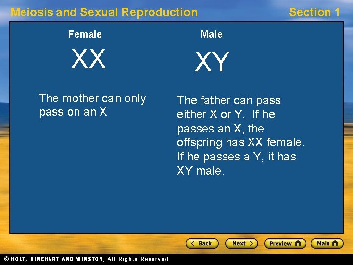 Meiosis and Sexual Reproduction Section 1 Reproduction Meiosis