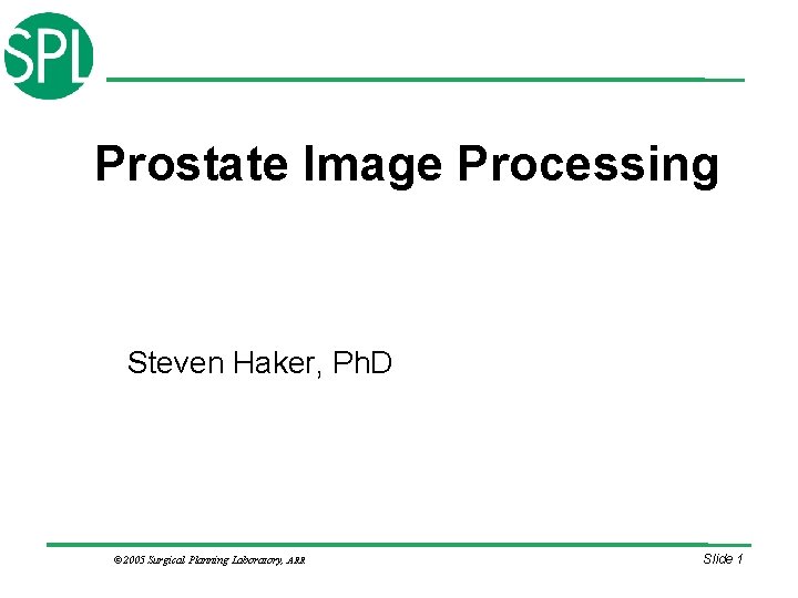 Prostate Image Processing Steven Haker Ph D 2005