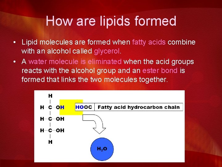 Biomacromolecules Part 1 Lipids Biomacromolecules Biomacromolecules are BIG