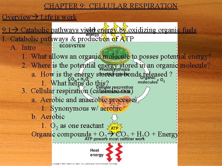 CHAPTER 9 CELLULAR RESPIRATION Overview Life is work