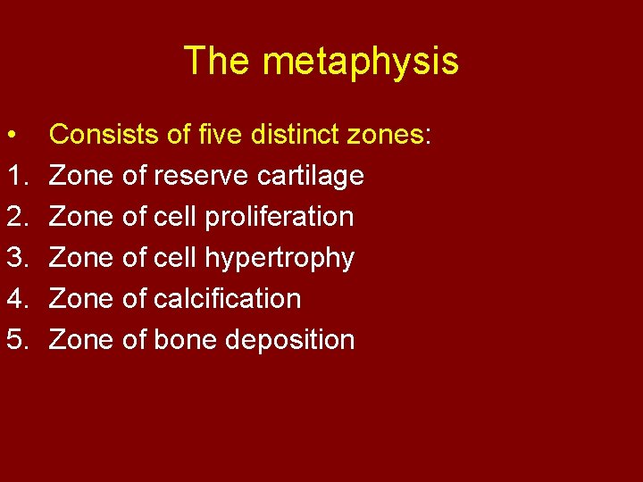 CHAPTER 6 Bones Tissue 1 2 3 4