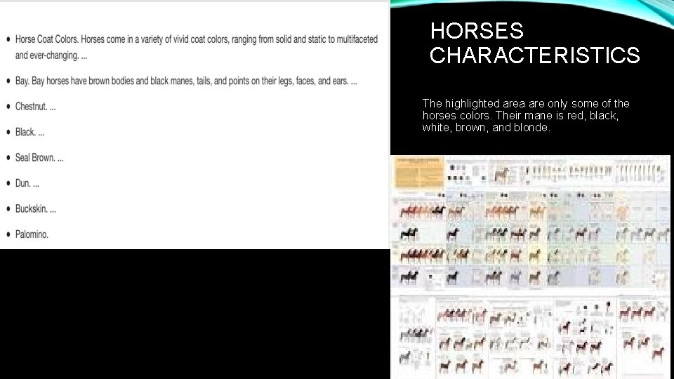 HORSE ECOSYSTEM By Lilly DEFINITION OF A BIOME