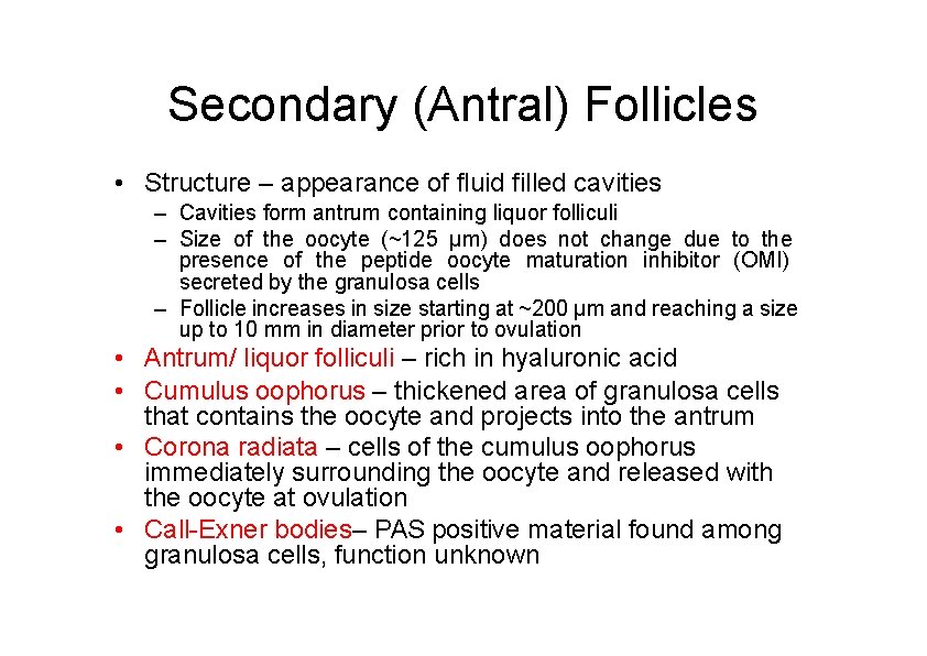 Histology Female Reproductive System Lecture Objectives Describe the