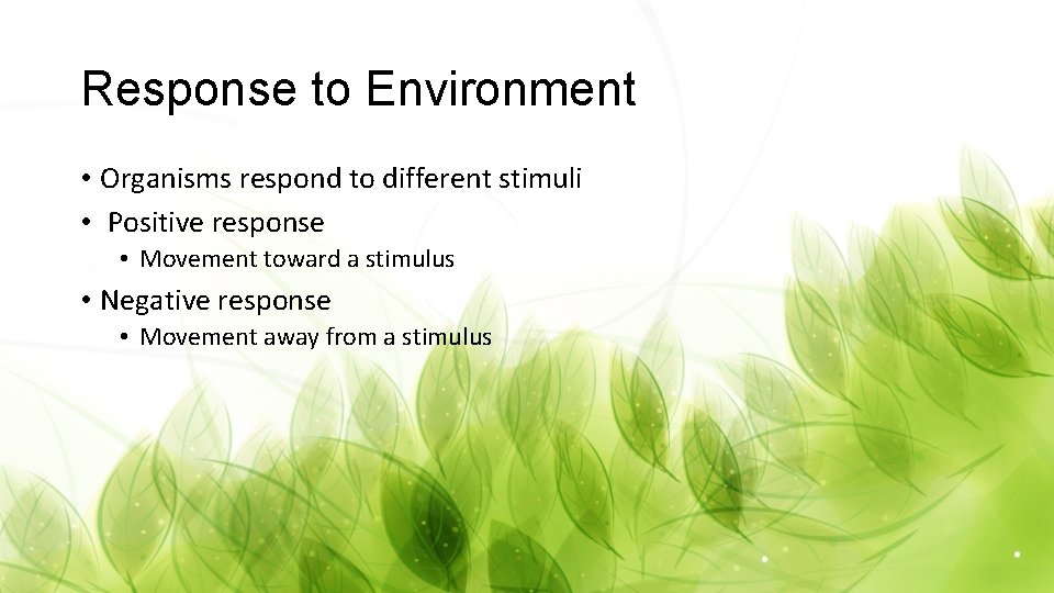 Characteristics of Life What does it mean to