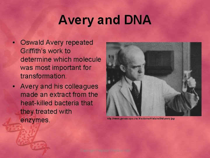 DNA and RNA Biology Ch 12 In 1928