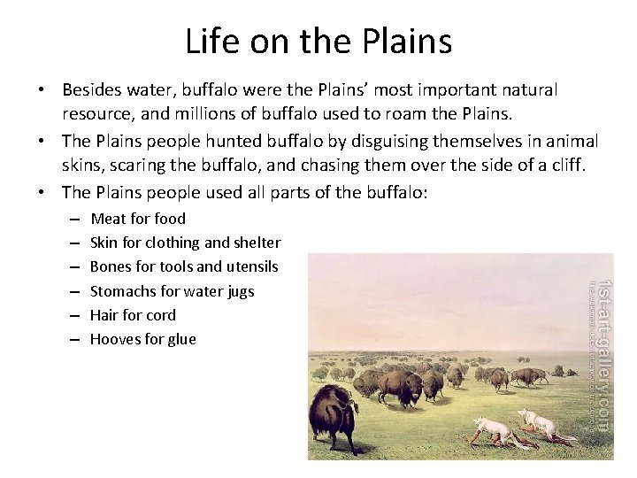 The Plains Chapter 2 Lesson 3 Lesson Objectives