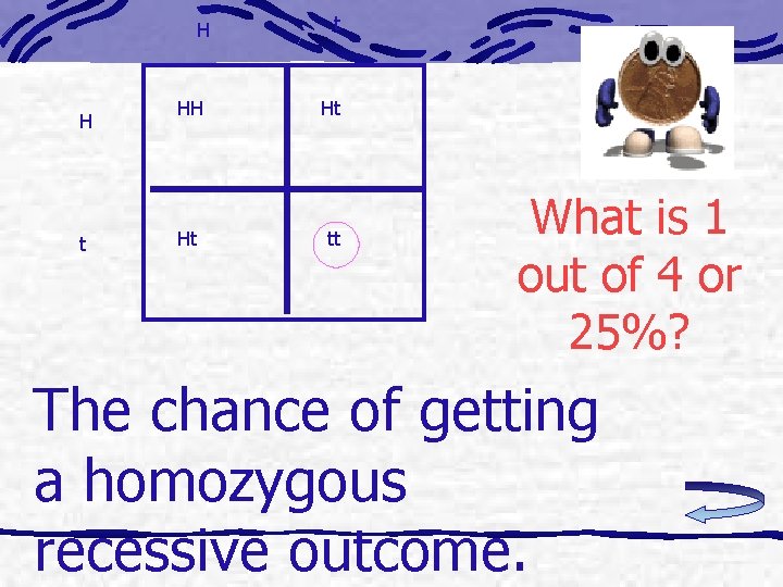 Jeopardy Punnett Squares Genetics Traits 100 100 200