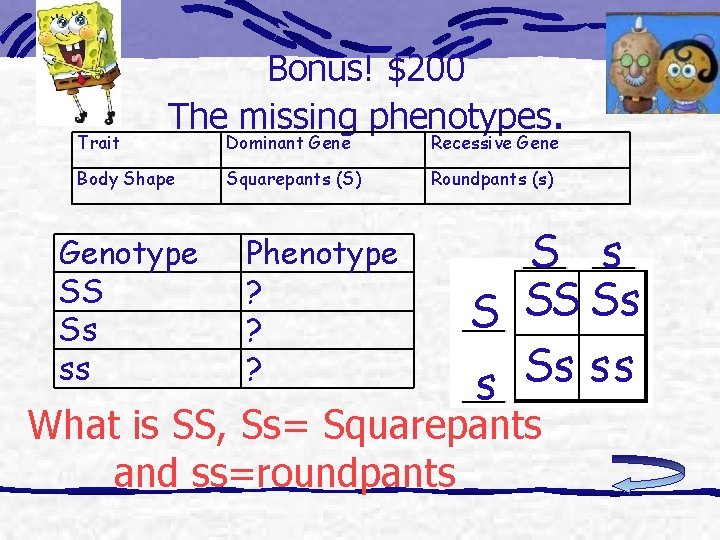 Jeopardy Punnett Squares Genetics Traits 100 100 200