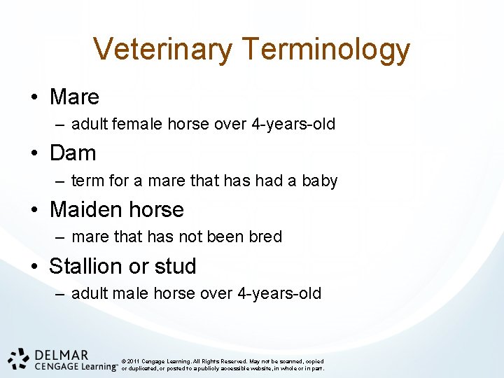 Chapter 19 Equine Breed Identification and Production Management