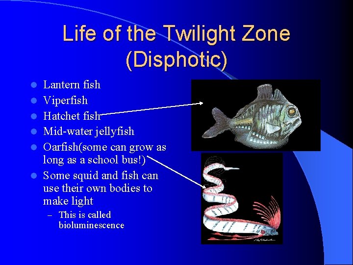 The Marine Ecosystem Ocean Overview Oceans cover three