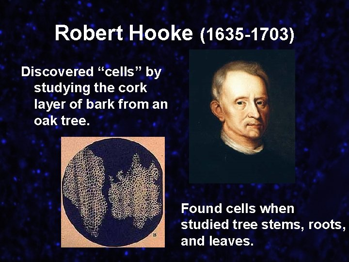 Cell Structure and Function Chapter 4 Robert Hooke