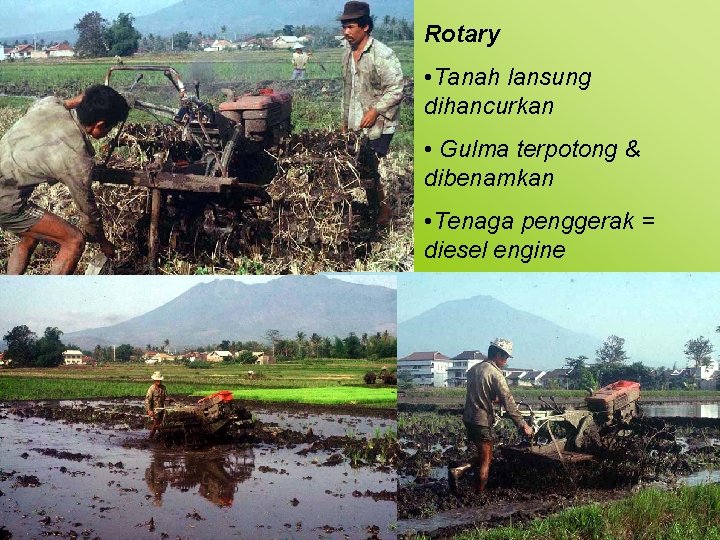 IV MEDIA TANAM DAN SUMBERDAYA LAHAN DI INDONESIA