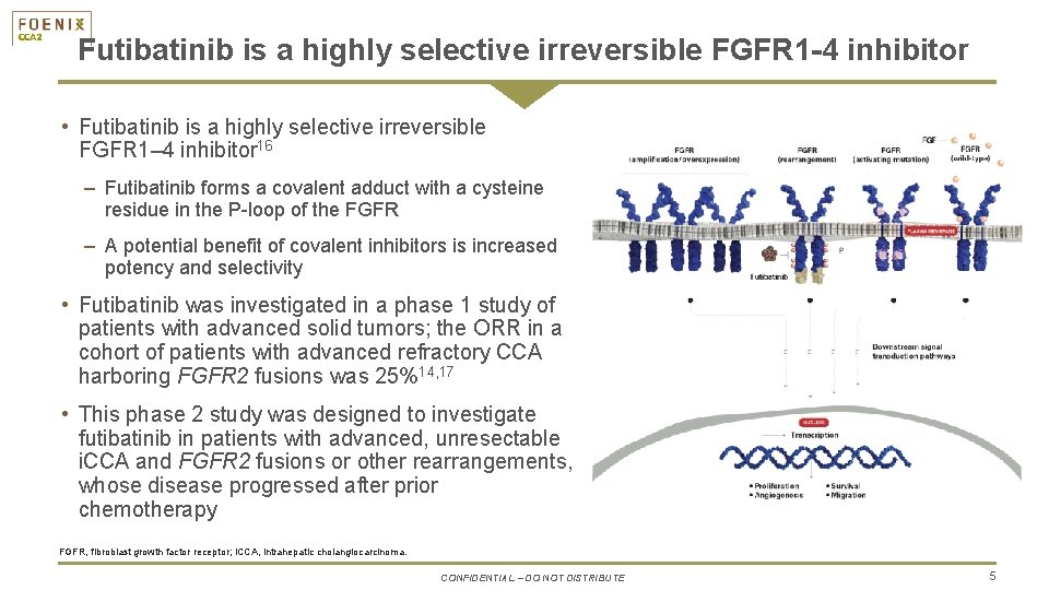 CCA 2 FOENIXCCA 2 A Phase 2 OpenLabel