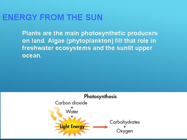ECOSYSTEM INTERACTIONS REVIEW ENERGY PRODUCERS AND CONSUMERS Organisms