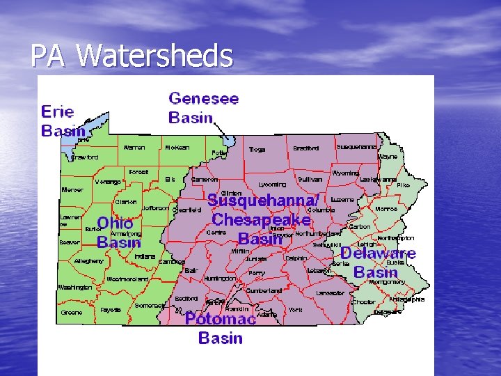 Surface Water Where Does the Water Go Precipitation